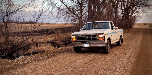 1984 ford F150 Explorer package A